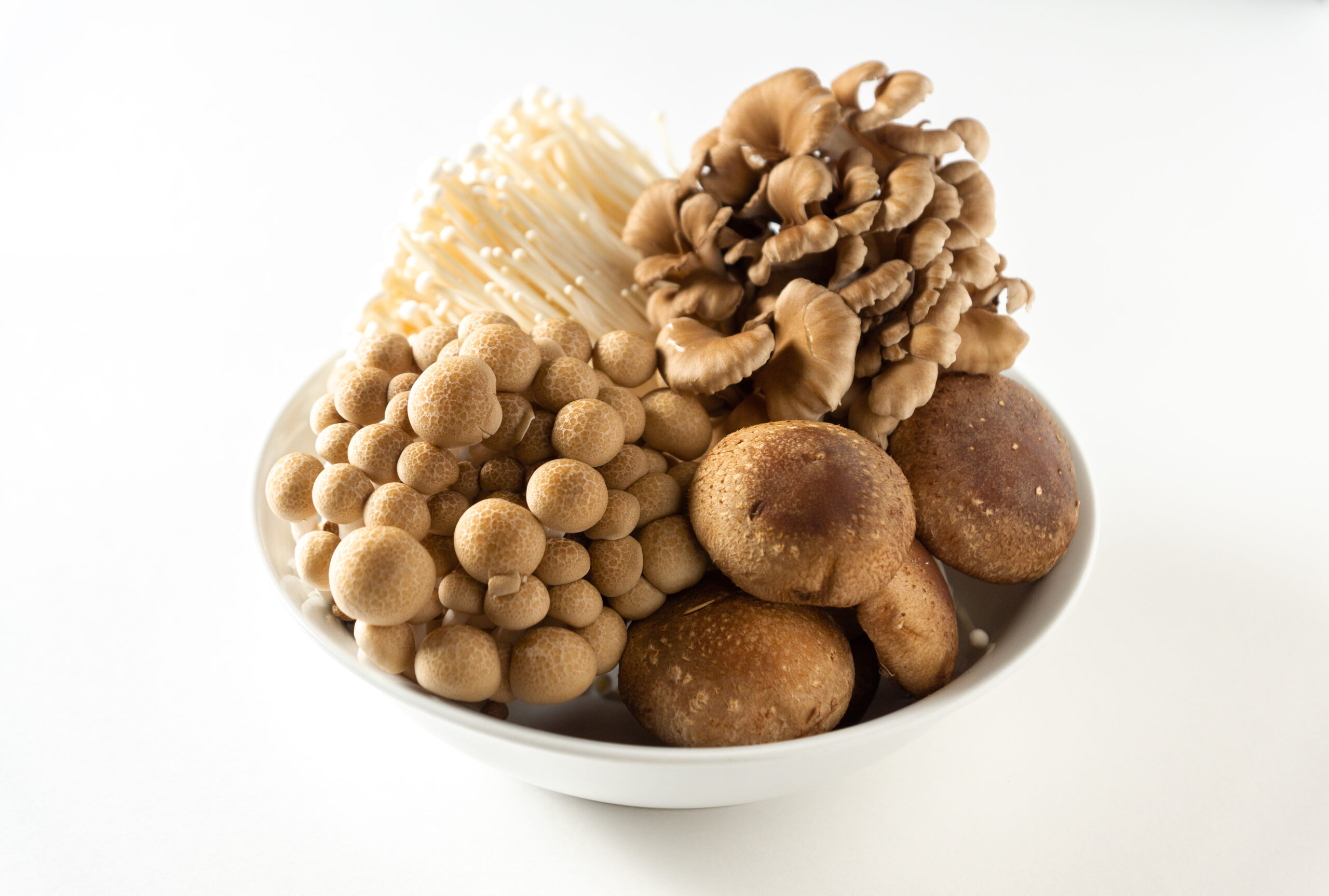 きのこは健康によい？多くのきのこに含まれる5つの栄養素、期待される効果なども解説 - ひろのポータルサイト